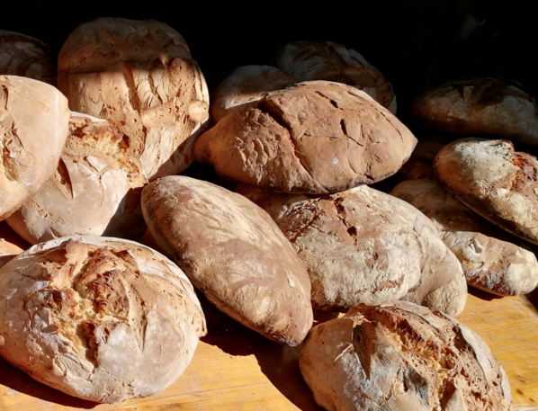 Fête du pain aux fruits : un voyage gourmand et riche de savoir-faire à ...