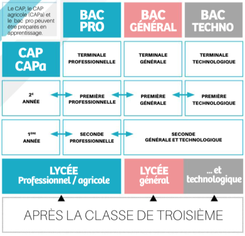 Orientation : les choix possibles après la classe de 3e - 100% Vosges