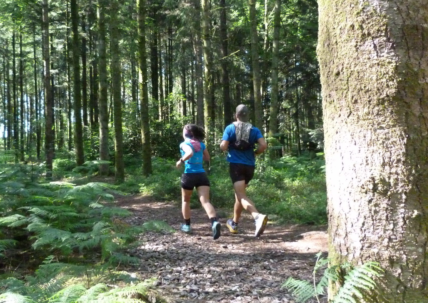 On Piste : la communauté de sportifs conseille aux amateurs de trails ...