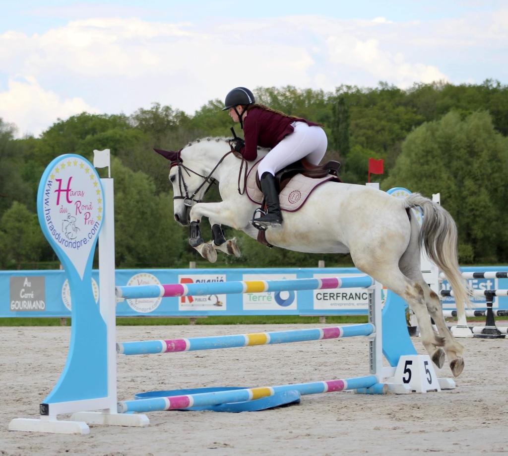 Équitation : Plus de 200 cavaliers engagés pour le concours de saut d ...