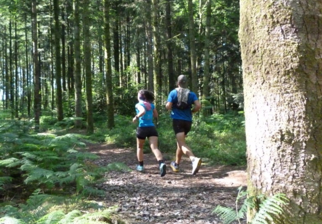 Trois parcours au programme de la 3e rando trail archettoise - 100% Vosges