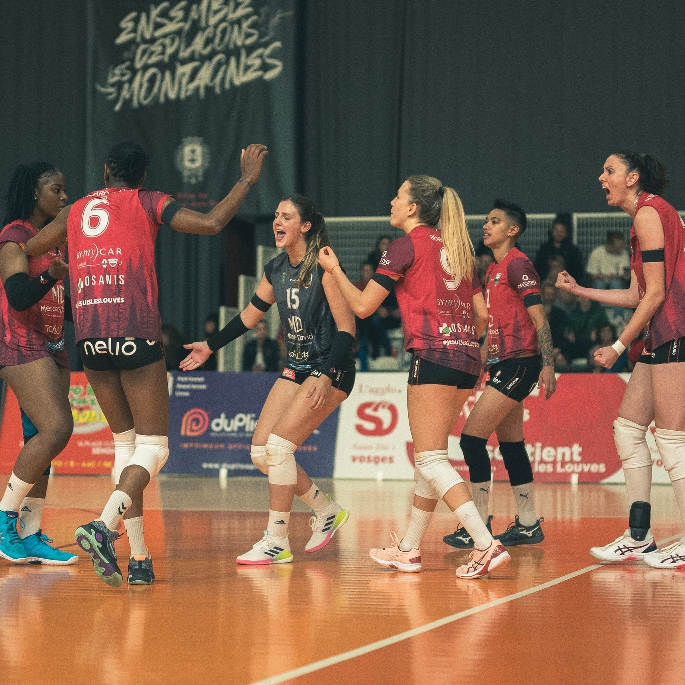 Les Louves de Saint-Dié remportent la Coupe de France fédérale ! - 100% ...